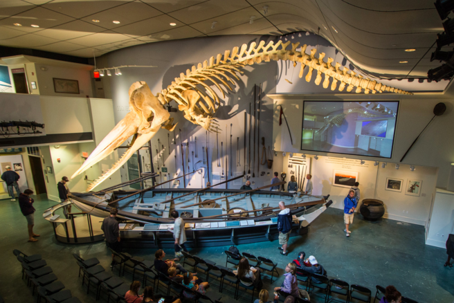 A Brief Look into Nantucket Whaling History